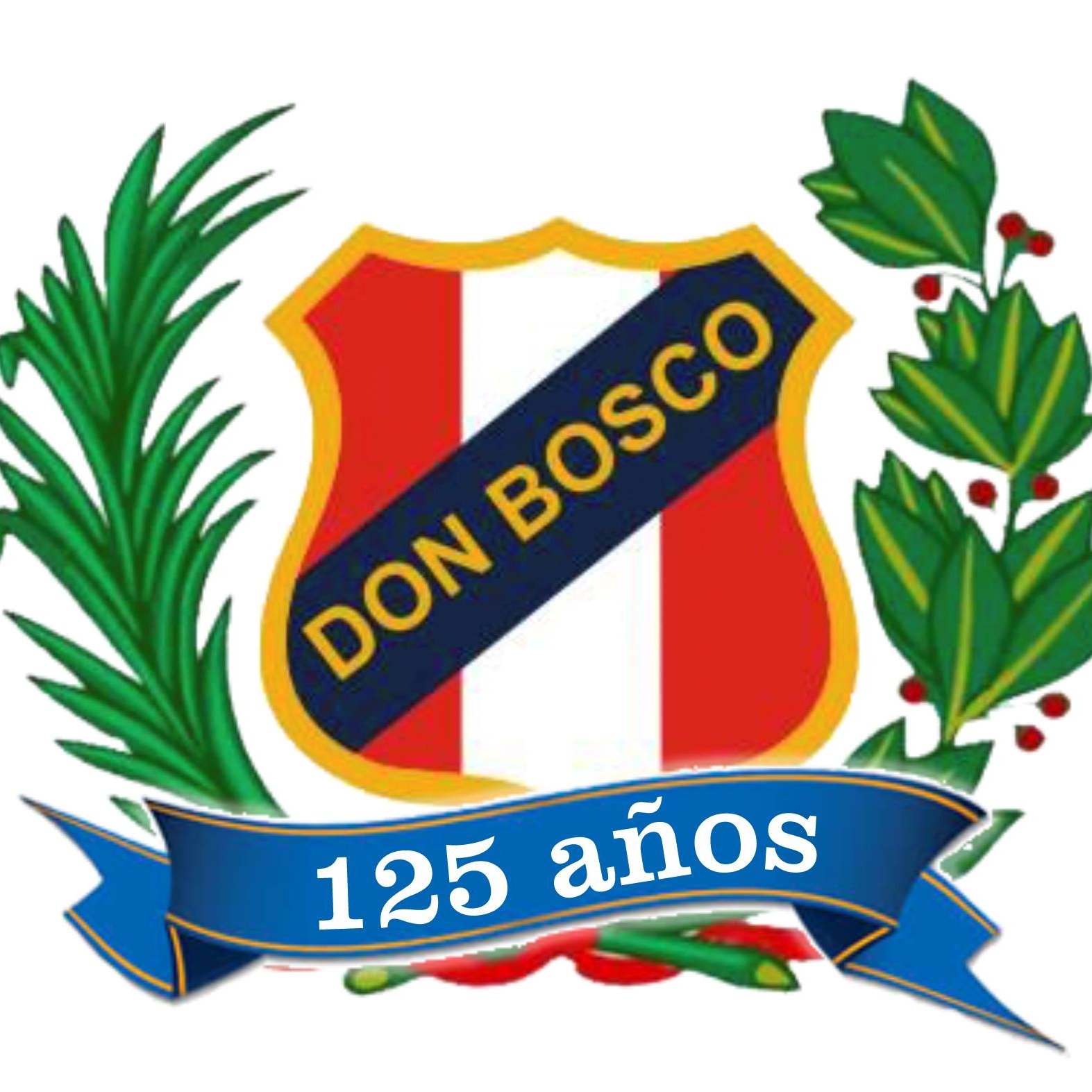 Colegio Salesianos Don Bosco Arequipa 🥇 Planes & Pensiones 2025